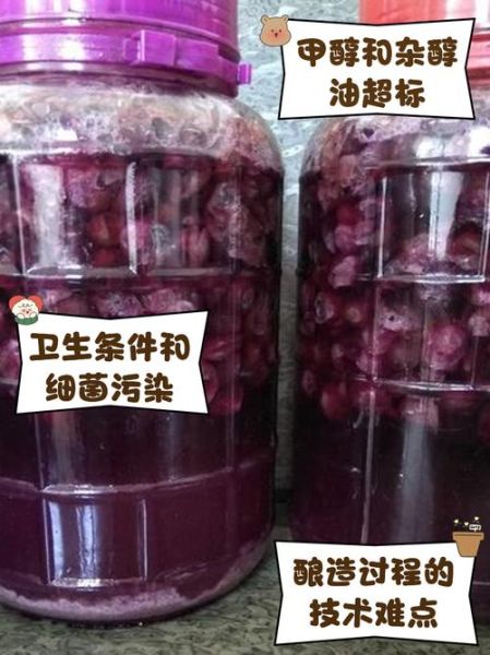 自制葡萄酒的正确方法_家庭自酿葡萄酒常见问题-第3张图片-山城妙识