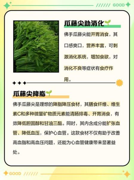 佛手瓜藤的营养价值_佛手瓜藤的功效与作用-第1张图片-山城妙识