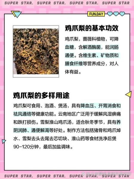 鸡爪梨是什么水果_鸡爪梨的功效与作用-第1张图片-山城妙识