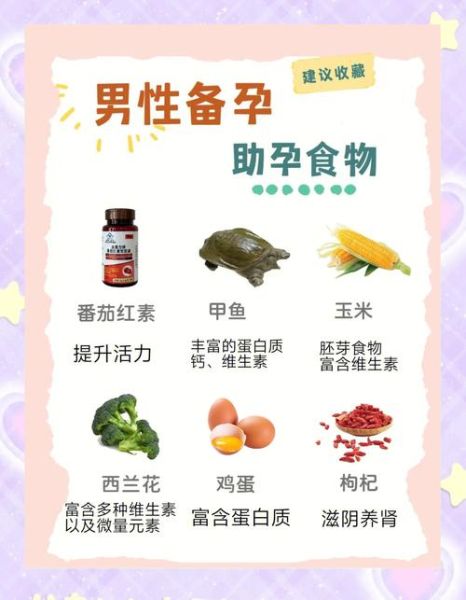 备孕吃什么提高受孕率_备孕期间吃什么好-第3张图片-山城妙识