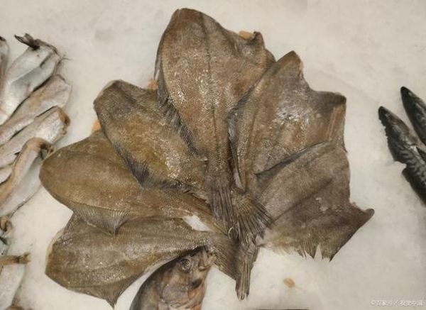 比目鱼禁忌人群有哪些_痛风患者能吃比目鱼吗-第1张图片-山城妙识