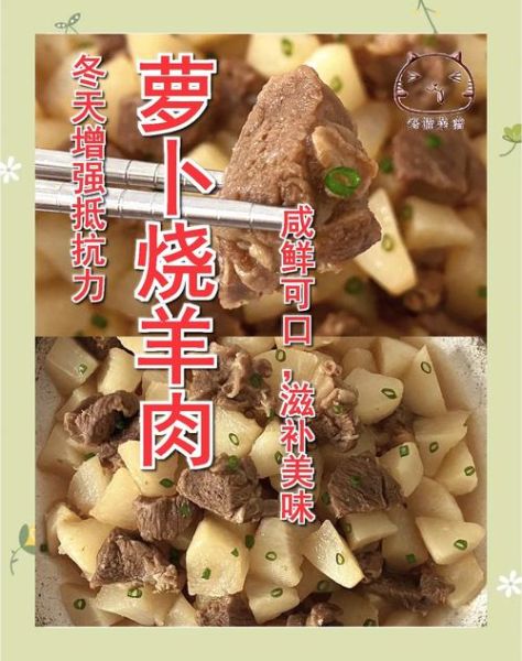 羊肉红烧萝卜怎么做_红烧羊肉萝卜最正宗做法-第3张图片-山城妙识