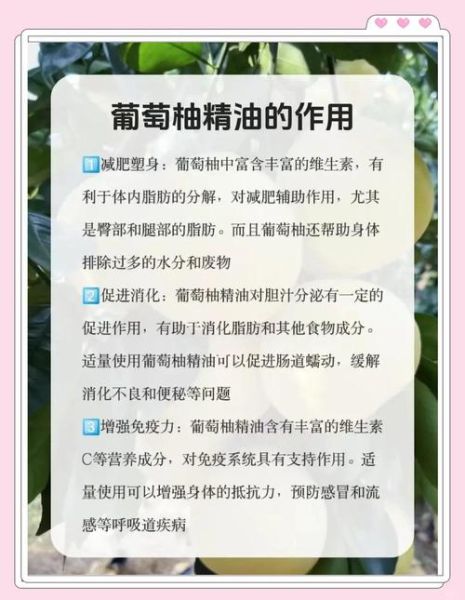 葡萄柚精油减肥怎么用_葡萄柚精油减肥多久见效-第1张图片-山城妙识