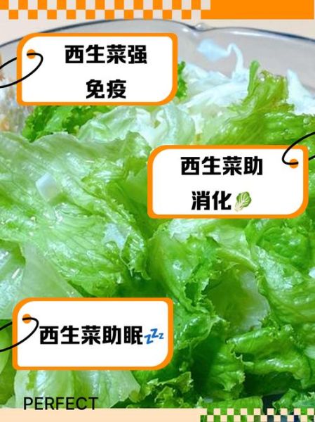 西生菜可以生吃吗_西生菜的营养价值-第1张图片-山城妙识