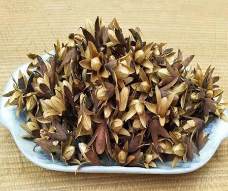 香椿籽的壳是药吗_能治什么病-第2张图片-山城妙识