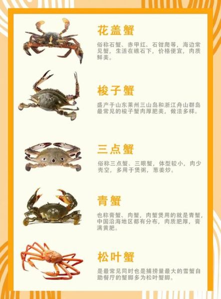 螃蟹怎么吃最鲜美_吃螃蟹的禁忌有哪些-第1张图片-山城妙识