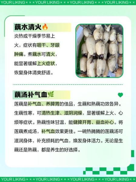 莲藕熬水的功效与禁忌_哪些人不能喝-第2张图片-山城妙识