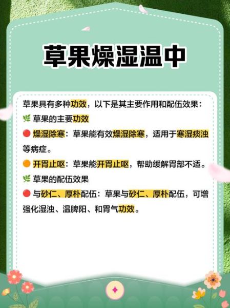 草果在卤水中怎么用_草果炖肉放多少合适-第3张图片-山城妙识