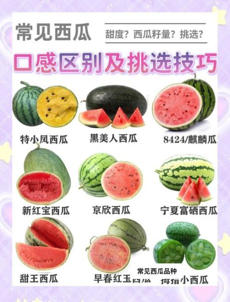 西瓜怎么挑选甜的_西瓜怎么保存时间长-第2张图片-山城妙识