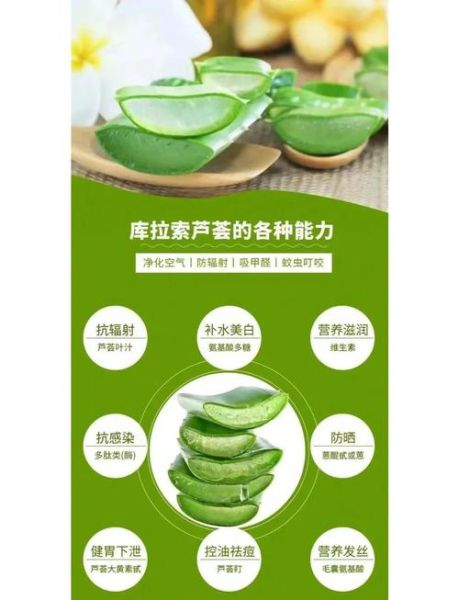 芦荟的功效与作用可以祛痘吗_芦荟祛痘的正确用法-第3张图片-山城妙识