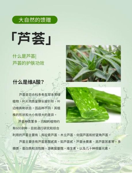 芦荟的功效与作用可以祛痘吗_芦荟祛痘的正确用法-第1张图片-山城妙识