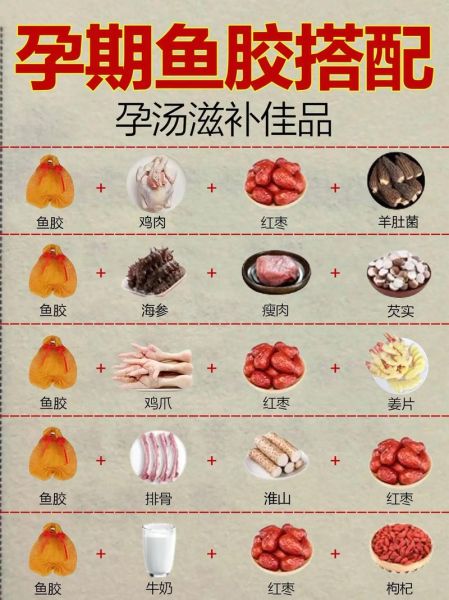 鱼胶怎么炖最好_鱼胶怎样吃最营养-第2张图片-山城妙识