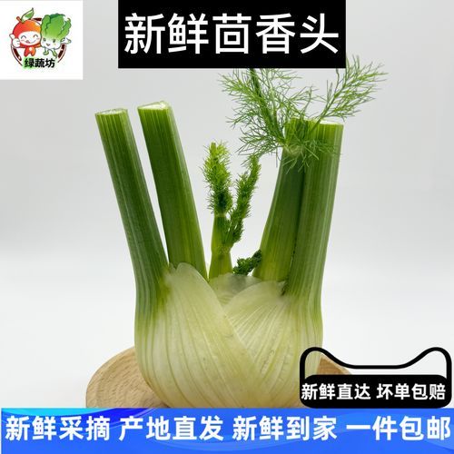 茴香头怎么吃法_茴香头怎么做好吃-第1张图片-山城妙识