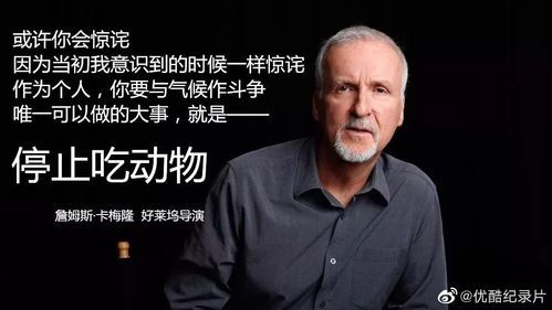 素食者联盟在线观看_哪里能看高清完整版-第3张图片-山城妙识