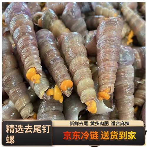 锥螺和钉螺的区别_如何快速区分-第3张图片-山城妙识