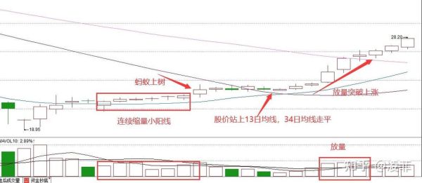 蚂蚁上树k线形态图解_如何识别买点-第3张图片-山城妙识