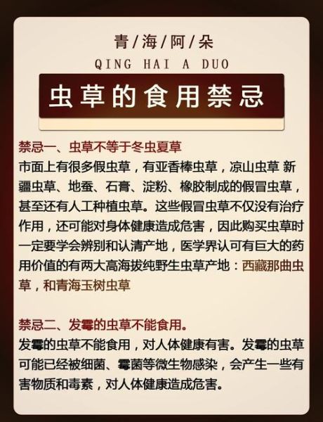 虫草的功效与作用有哪些_虫草怎么吃效果最好-第2张图片-山城妙识