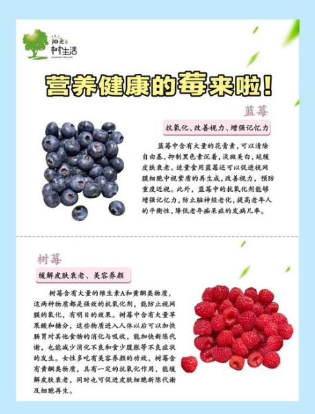 蓝莓怎么吃最好吃_蓝莓的10种吃法有哪些-第1张图片-山城妙识