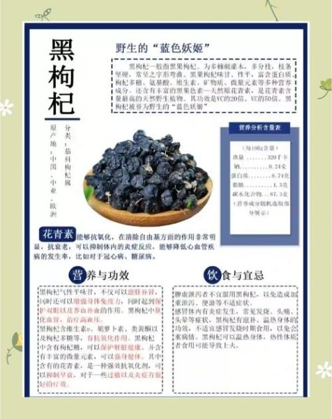 黑枸杞哪三种人不能喝_禁忌人群有哪些-第1张图片-山城妙识