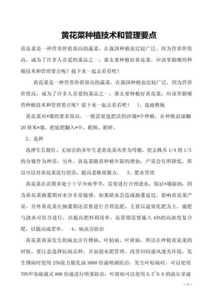 黄花菜种植每亩利润有多少_如何提高收益-第2张图片-山城妙识