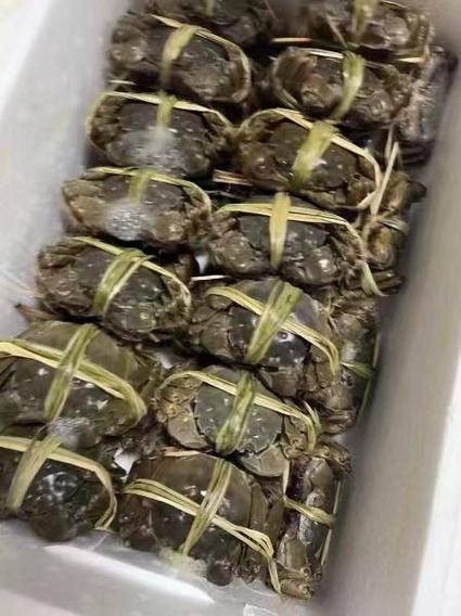 阳澄湖大闸蟹去哪里买正宗_如何辨别真假-第2张图片-山城妙识