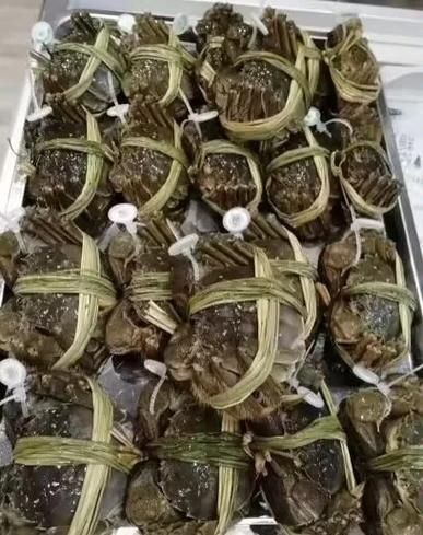 阳澄湖大闸蟹去哪里买正宗_如何辨别真假-第3张图片-山城妙识
