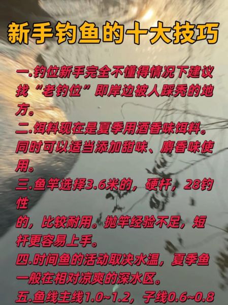 钓鱼技巧视频_新手如何快速上鱼-第3张图片-山城妙识