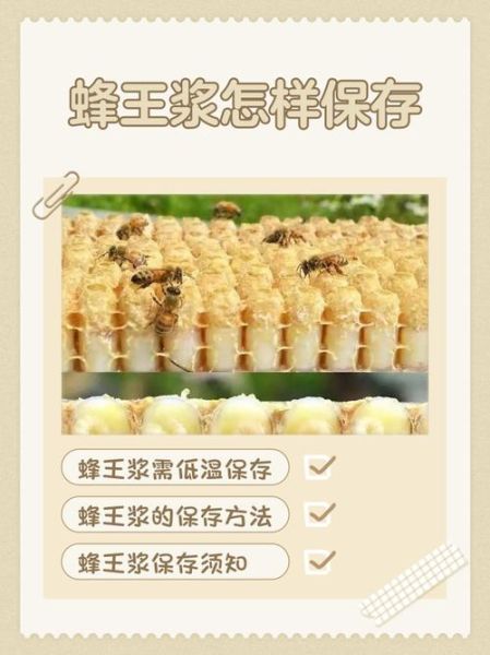 蜂王浆怎么保存_蜂王浆保存多久-第1张图片-山城妙识