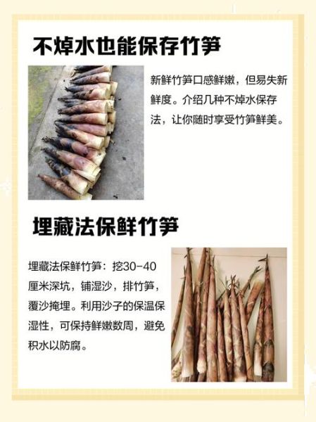 竹笋怎么焯水不苦_竹笋煮多久才熟-第3张图片-山城妙识