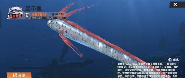 皇带鱼多少钱一条_皇带鱼价格为什么差异大-第3张图片-山城妙识