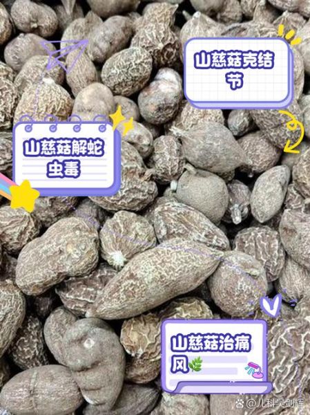 慈姑是什么_慈姑的功效与作用-第3张图片-山城妙识