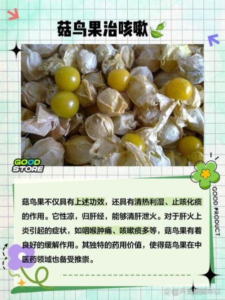 菇鸟果怎么吃_菇鸟果功效与作用-第1张图片-山城妙识