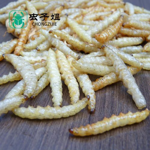 竹节虫吃什么_竹节虫食物有哪些-第1张图片-山城妙识