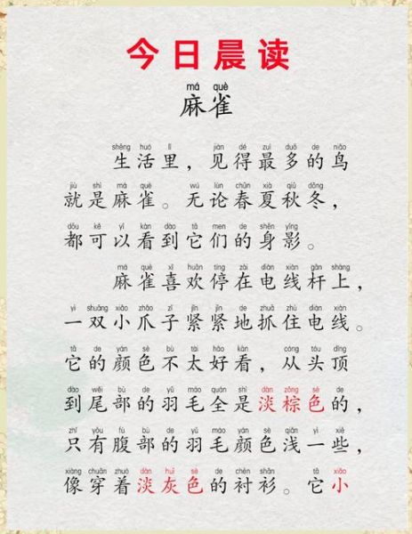 麻雀喳喳野行记是什么_麻雀喳喳野行记在哪看-第1张图片-山城妙识