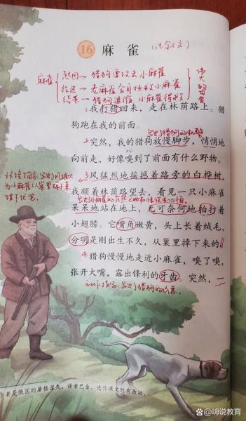 麻雀喳喳野行记是什么_麻雀喳喳野行记在哪看-第2张图片-山城妙识