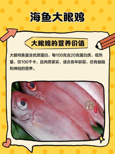 海鸡子是什么_海鸡子怎么吃-第2张图片-山城妙识