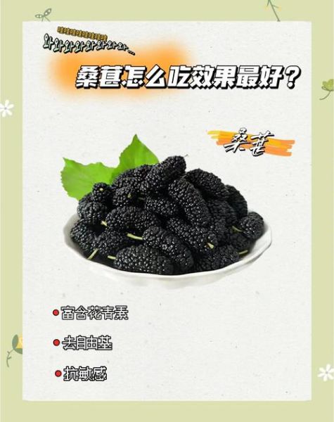 桑葚怎么吃最好_桑葚的正确吃法大全-第1张图片-山城妙识