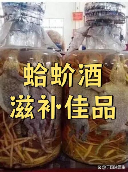 蛤蚧的功效与作用禁忌_哪些人不能吃蛤蚧-第3张图片-山城妙识