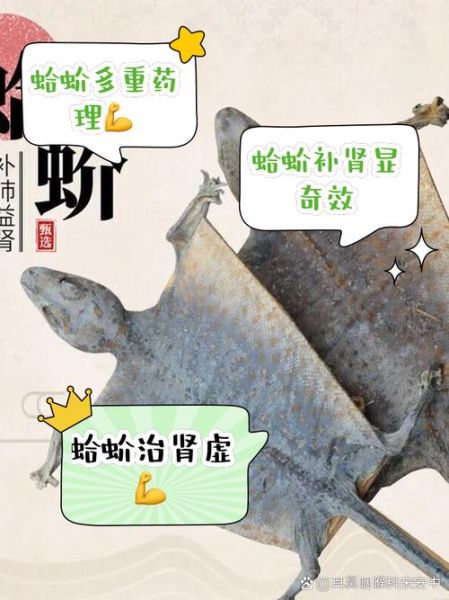蛤蚧的功效与作用禁忌_哪些人不能吃蛤蚧-第1张图片-山城妙识