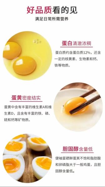 富硒鸡蛋多少钱一斤_富硒鸡蛋和普通鸡蛋的区别-第3张图片-山城妙识