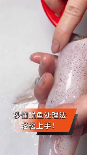 鱿鱼怎么清洗_新鲜鱿鱼清洗步骤-第3张图片-山城妙识