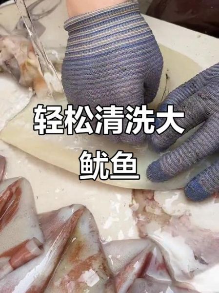 鱿鱼怎么清洗_新鲜鱿鱼清洗步骤-第2张图片-山城妙识