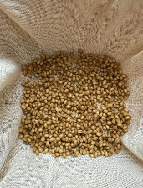 麦芽糖是什么做的_麦芽糖原料有哪些-第2张图片-山城妙识
