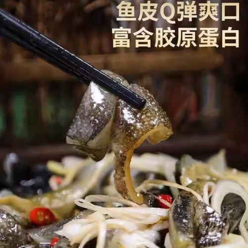 海参斑怎么处理_海参斑去鳞去腥技巧-第1张图片-山城妙识