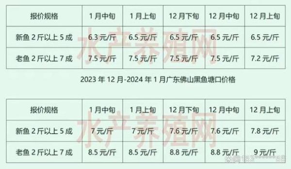 黑鱼养殖饲料配方_黑鱼饲料价格多少钱一斤-第1张图片-山城妙识