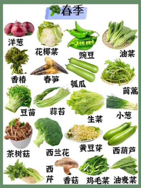 春季时令蔬菜有哪些_夏季时令蔬菜有哪些-第1张图片-山城妙识