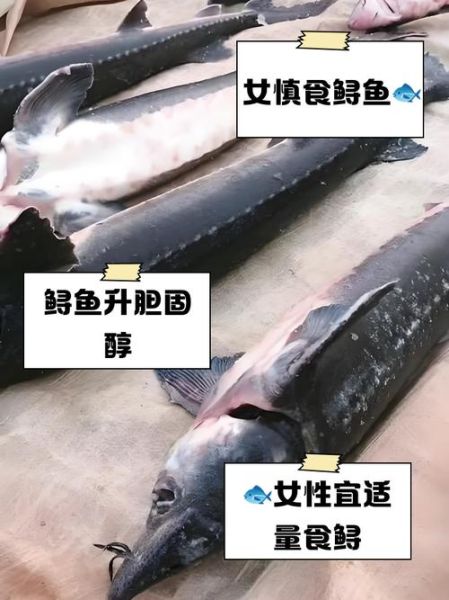鲟鱼的功效与作用禁忌_孕妇可以吃鲟鱼吗-第2张图片-山城妙识