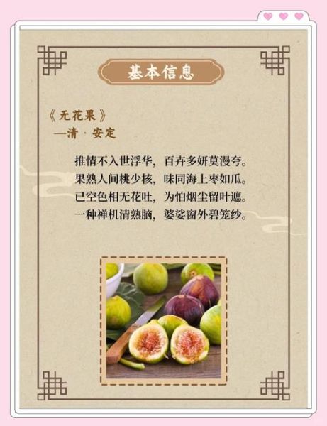 无花果图片大全及作用_无花果的功效与禁忌-第3张图片-山城妙识