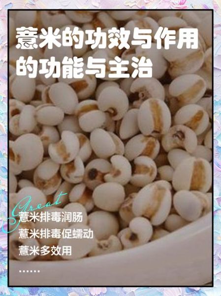 薏仁的功效与作用_薏仁怎么吃祛湿最好-第1张图片-山城妙识