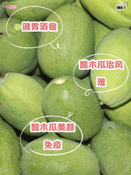 酸木瓜的功效与作用有哪些_酸木瓜怎么吃效果最好-第2张图片-山城妙识 酸木瓜的功效与作用有哪些_酸木瓜怎么吃效果最好-第2张图片-山城妙识